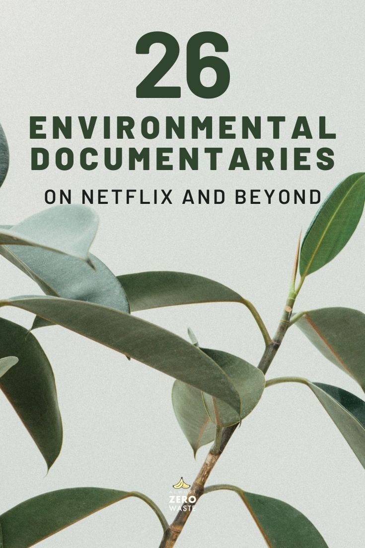 26 Environmental Documentaries On Netflix & Beyond - Almost Zero Waste