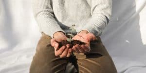 26 Best Environmental Documentaries On Netflix & Beyond (2022)