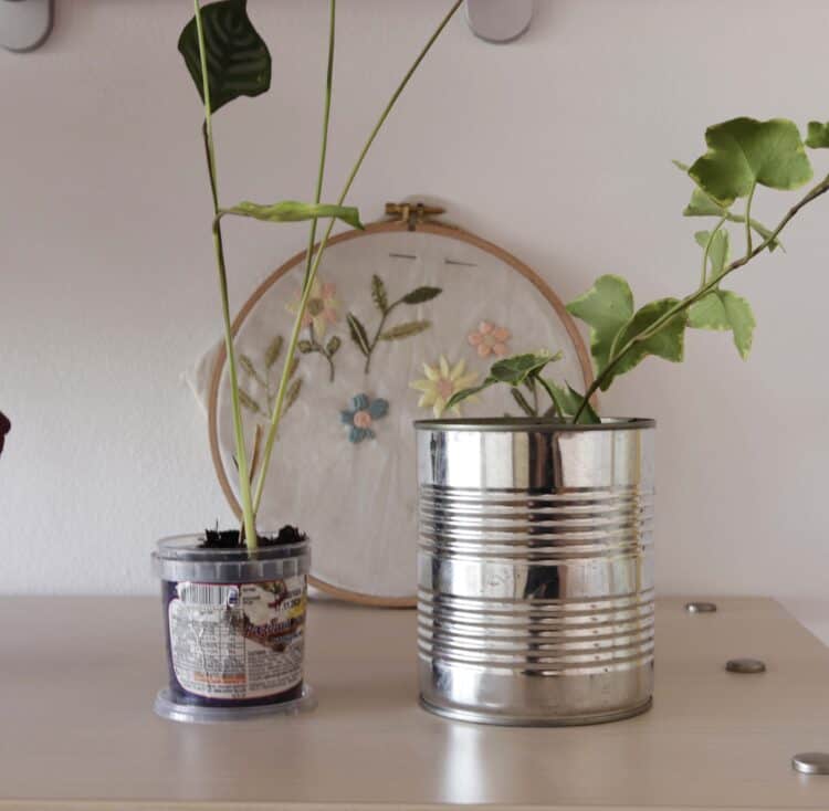 24 Things To Do With Plastic Containers - Almost Zero Waste