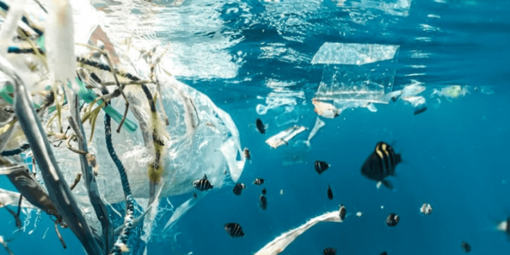 7 Easy Ways To Prevent Ocean Plastic Pollution - Almost Zero Waste