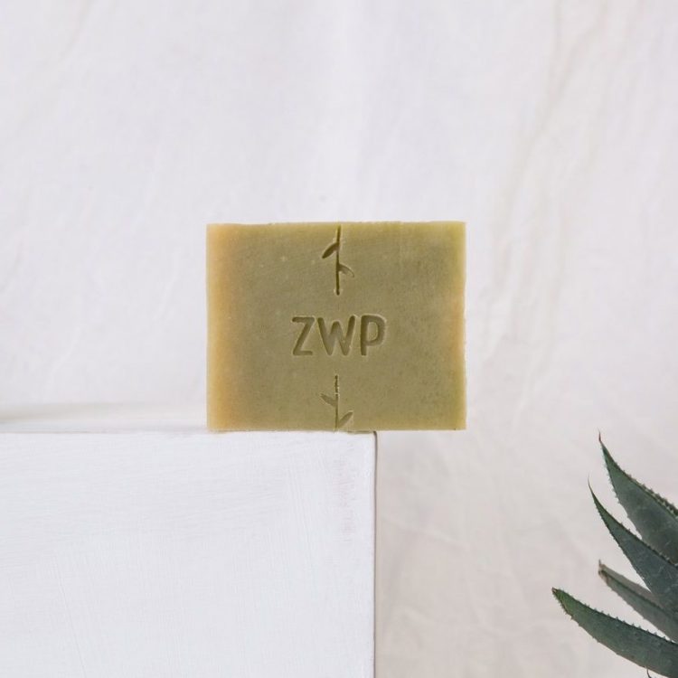 Eco-Friendly Shampoo & Conditioner: 21 Plastic-Free Options