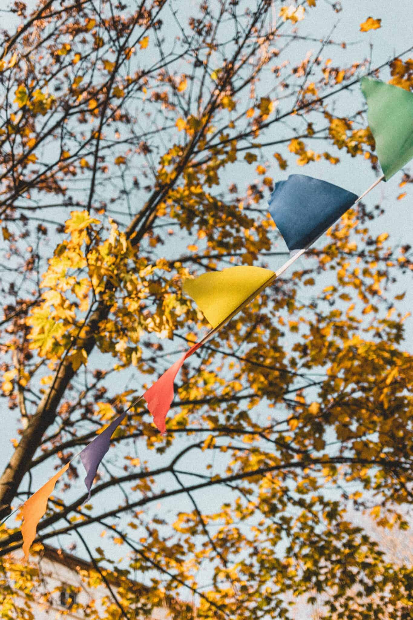 12 Eco Friendly Alternative To Balloons 2022 Almost Zero Waste 12-eco-friendly-alternative-to-balloons-2022-almost-zero-waste