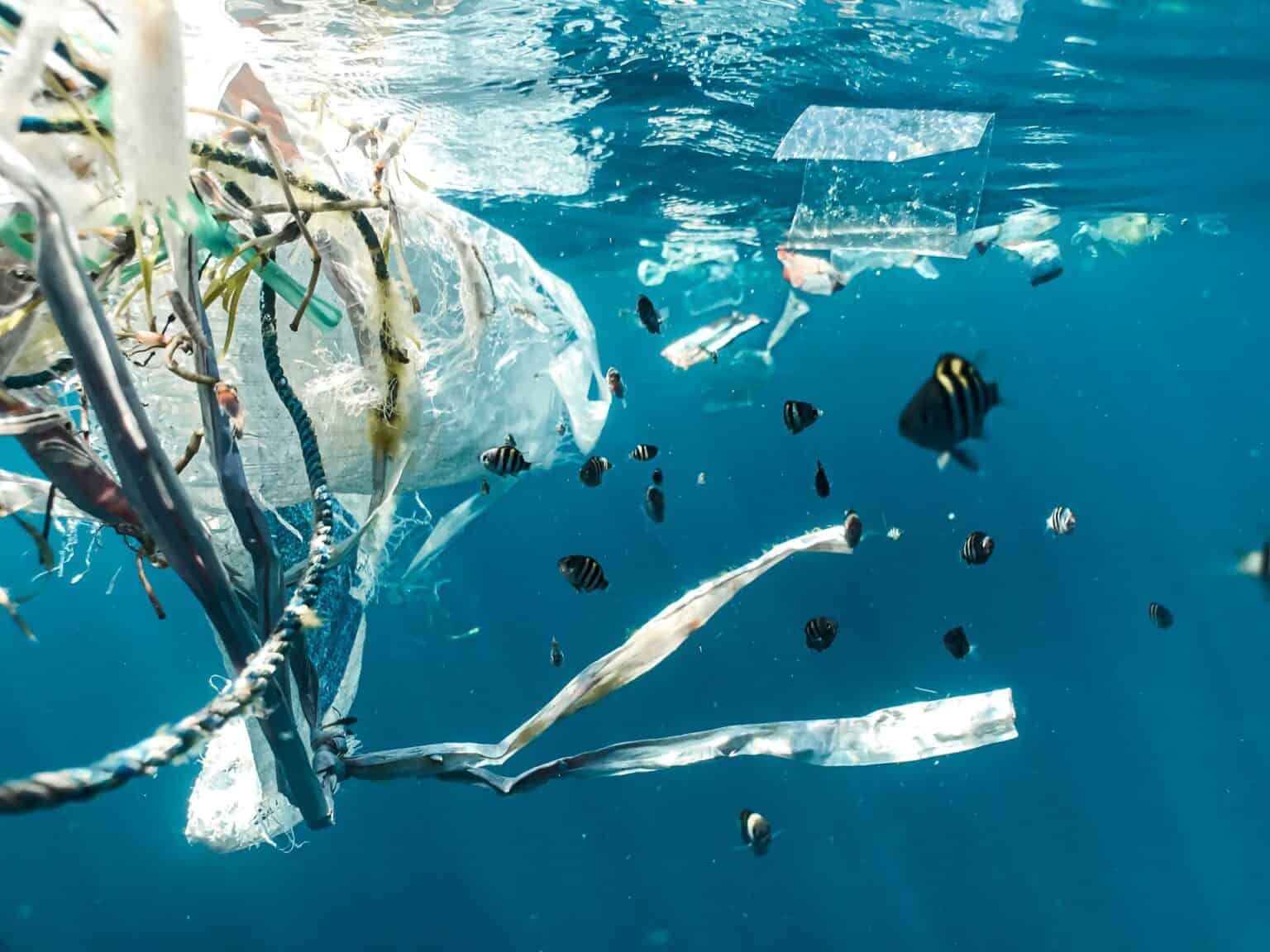 6 Ways Smoking Affects The Environment - Almost Zero Waste