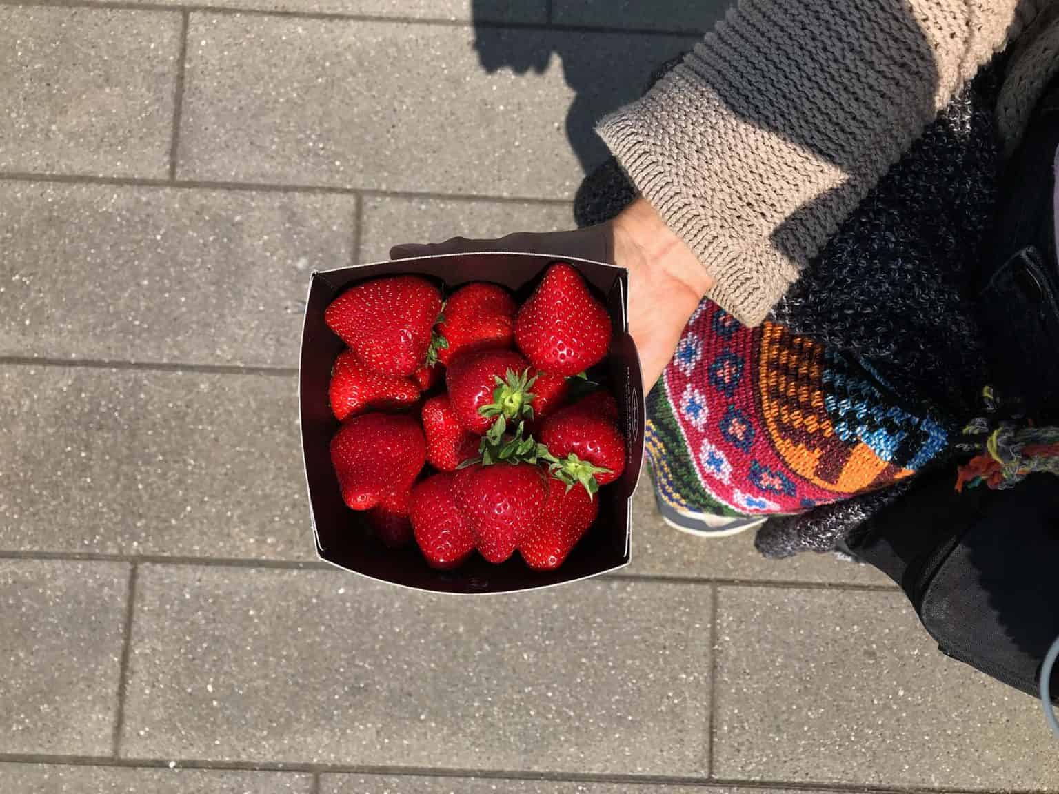 7 Eco-Friendly Foods For Sustainable Diet - Almost Zero Waste