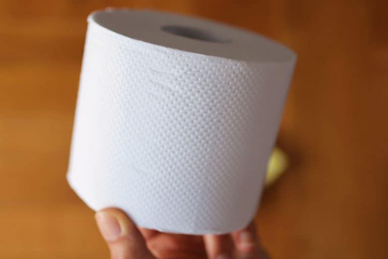 Who Gives A Crap: Recycled & Bamboo Toilet Paper (Review)