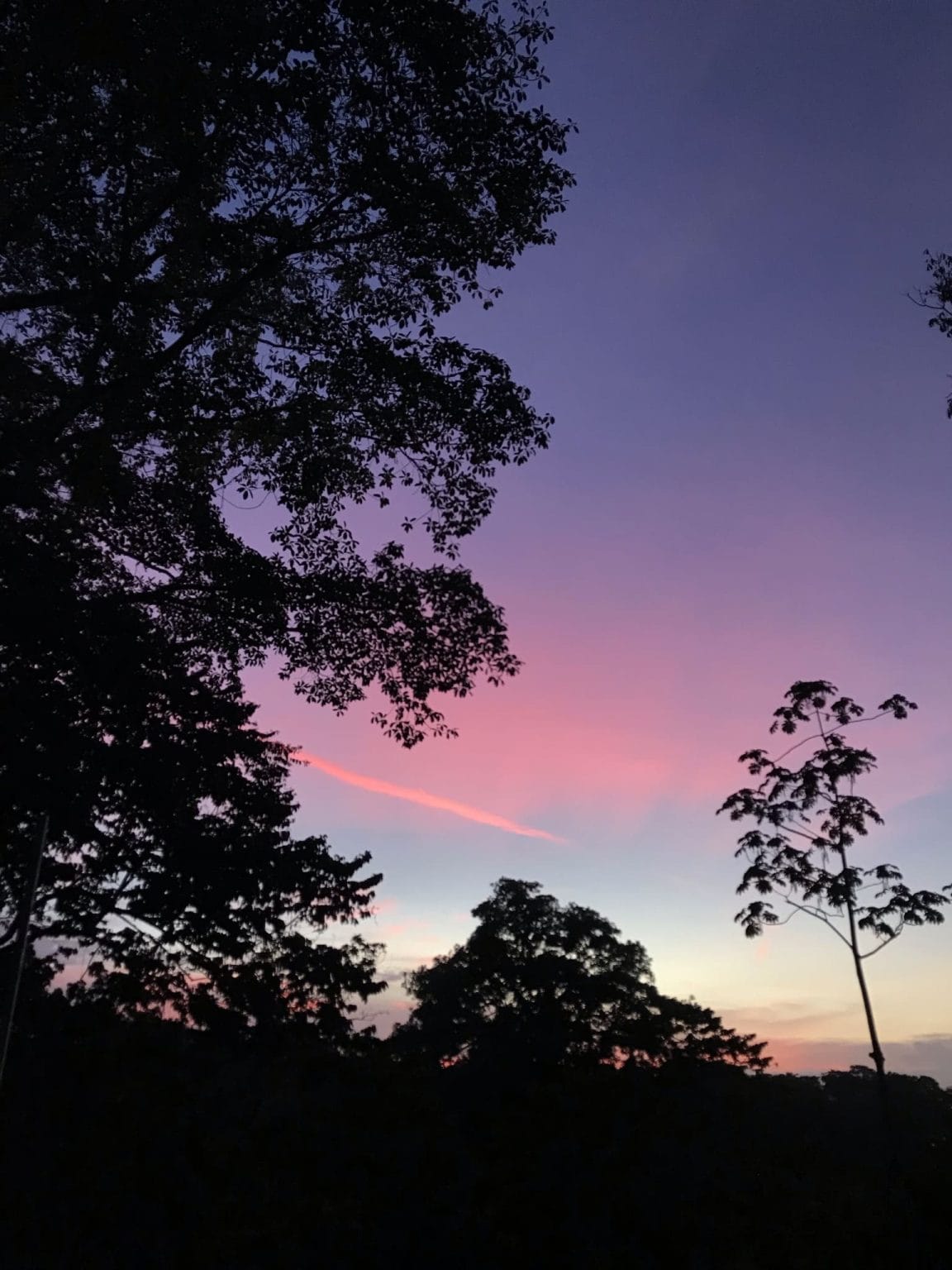 Workaway Review: Is It Legit & Worth It? (2026)