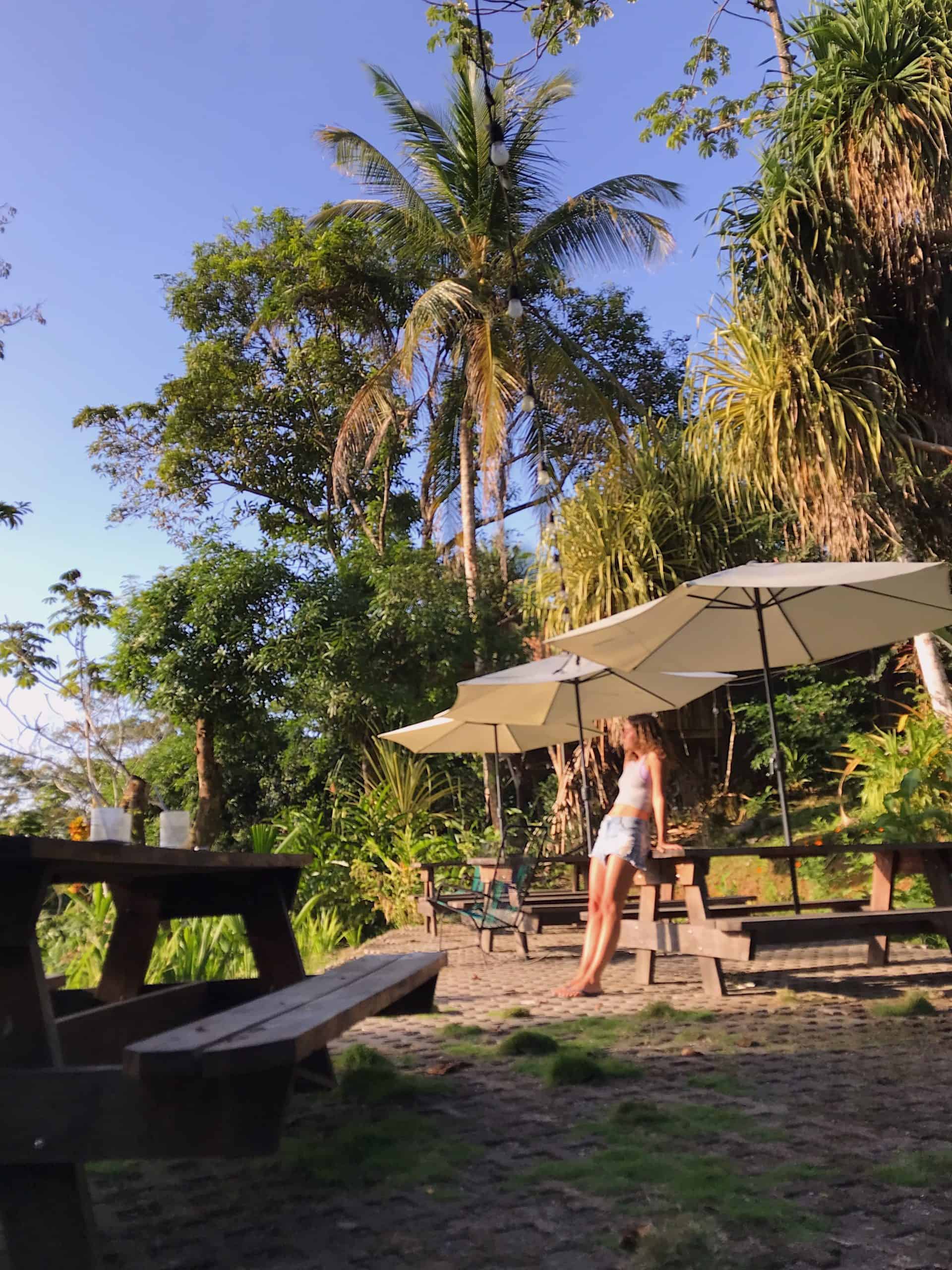 Workaway Review: Is It Legit & Worth It? (2026)