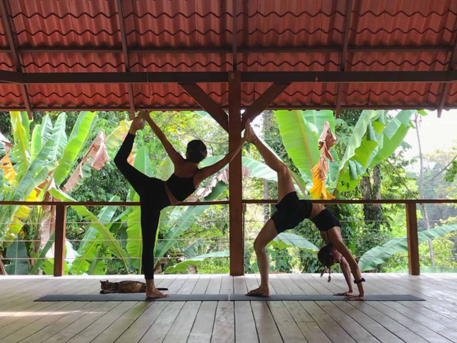 Workaway Review: Is It Legit & Worth It? (2026)