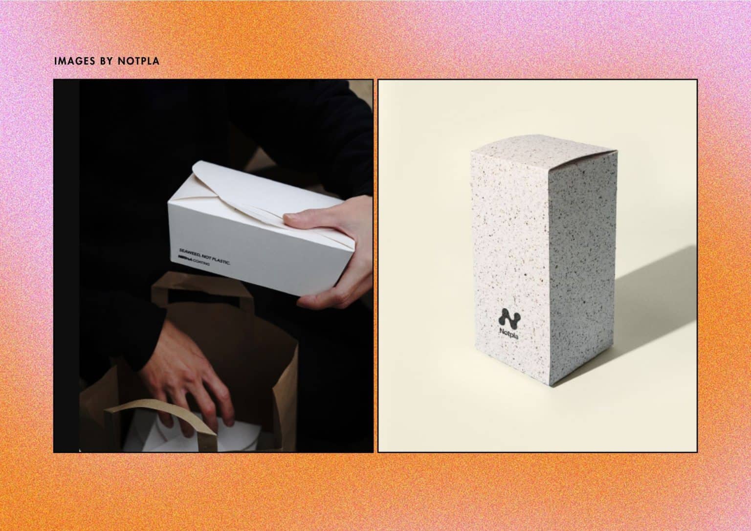 27 Sustainable Packaging Solutions: From Fashion to Food (2026)
