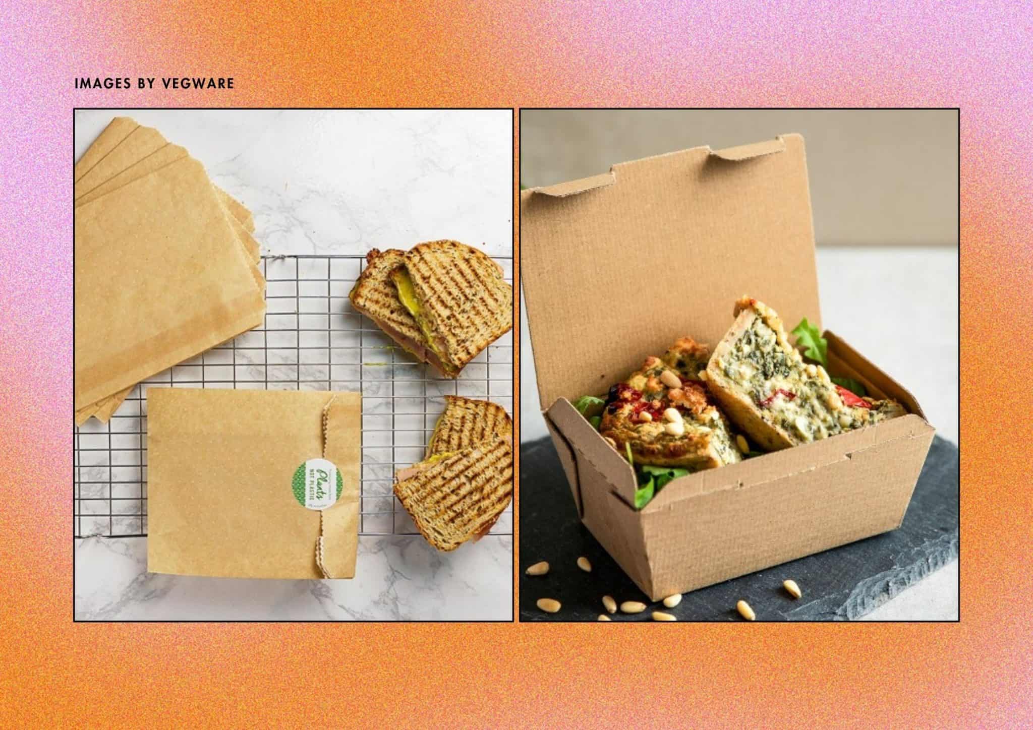 27 Sustainable Packaging Solutions: From Fashion to Food (2025)