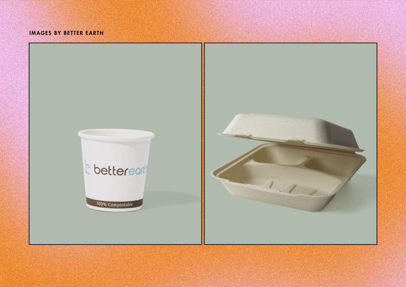 27 Sustainable Packaging Solutions: From Fashion to Food (2025)