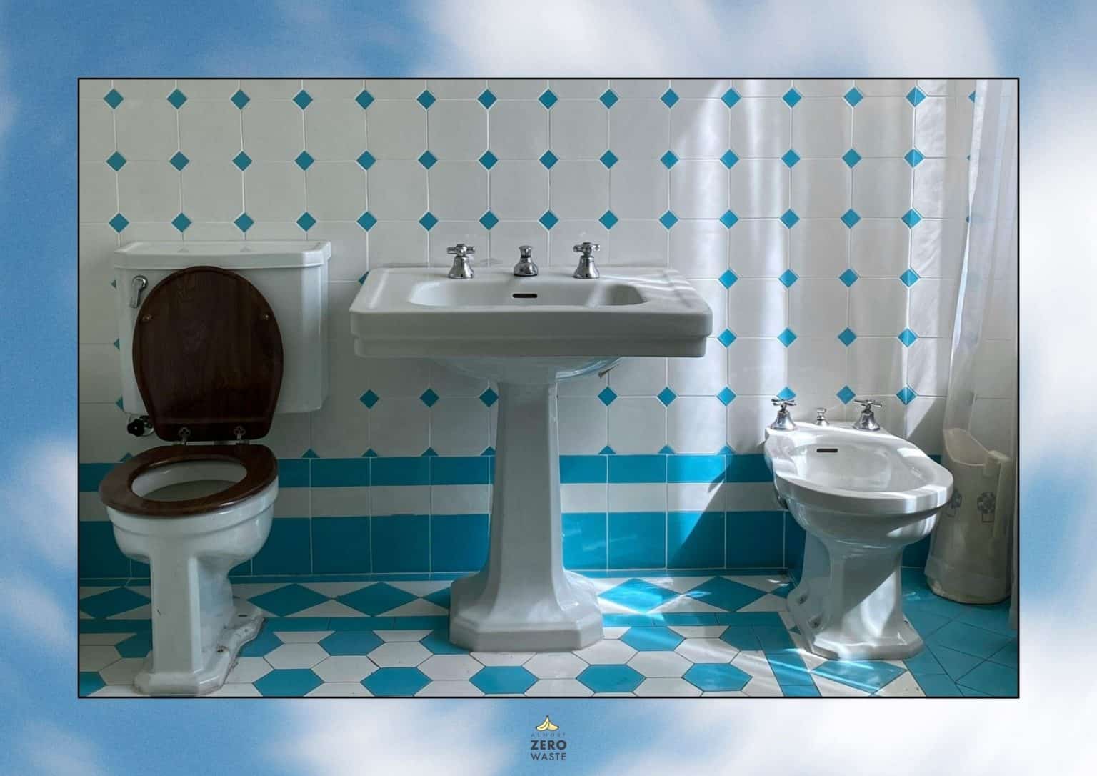 Bum Guns vs. Toilet Paper: Which Is More Eco-Friendly?