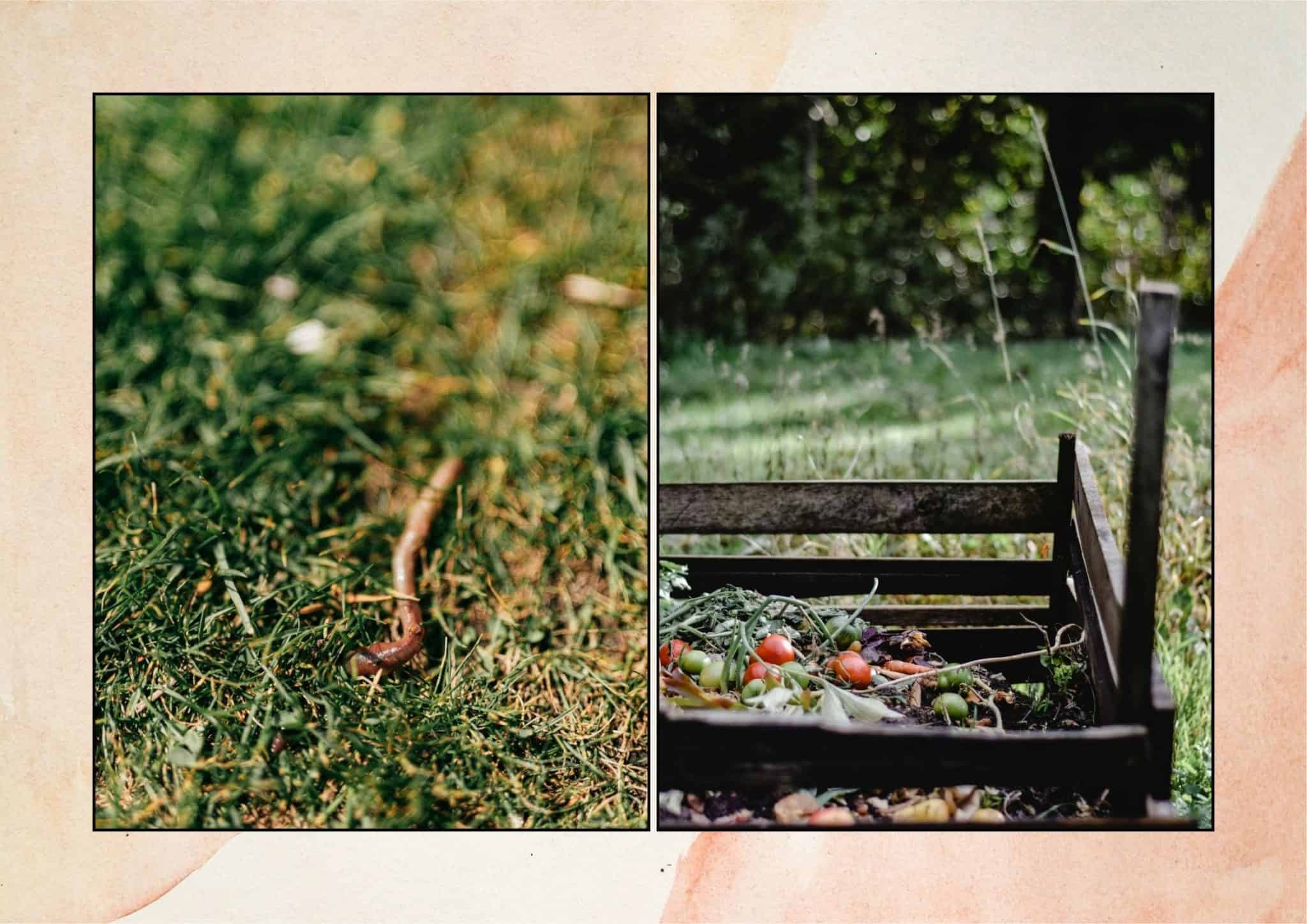 9 Common Compost Problems & Easy Fixes - Almost Zero Waste